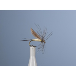 Mosca seca efímera JMC Ornans CDC 1 H16