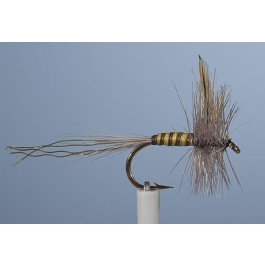 JMC Mosca seca efímera JMC 3 de mayo H10